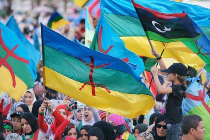Tamazight declared official language in Amazigh-peopled districts ...