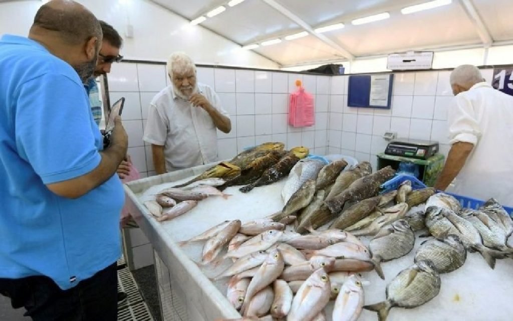 ‘Blast fishing’ thrives in Libya’s chaos – Libya Tribune